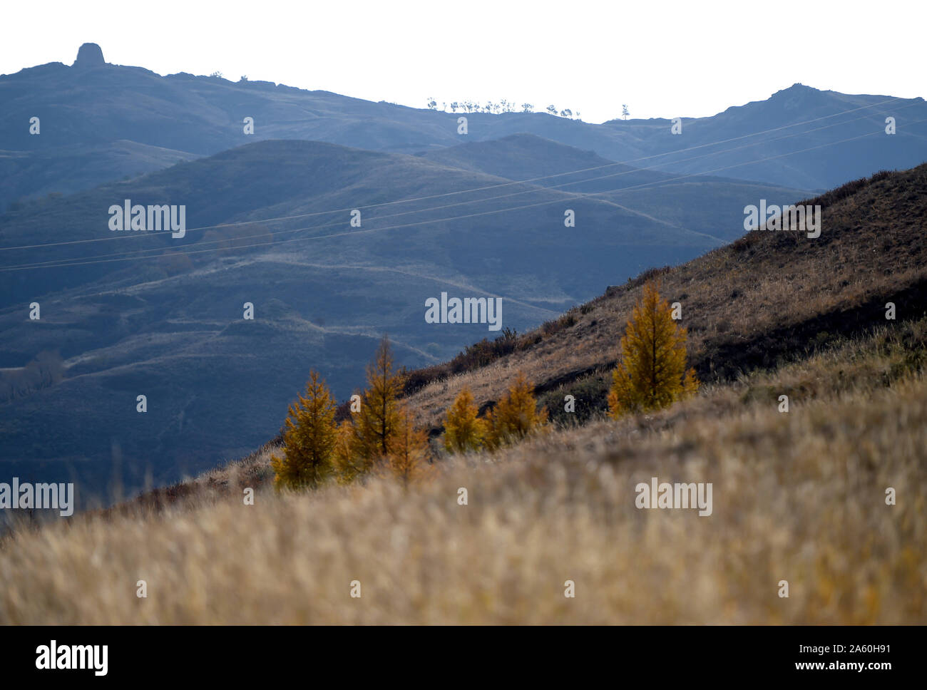 Horinger hi-res stock photography and images - Alamy