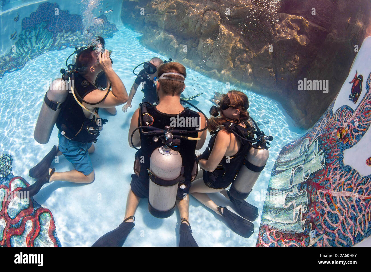 SCUBA diving instructor Anthony Manion practices skills with four ...