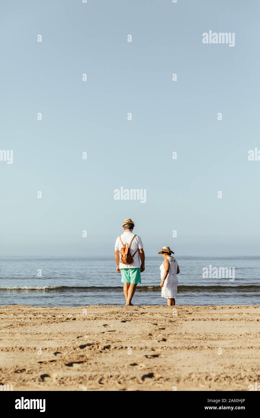 Roc image hi-res stock photography and images - Alamy