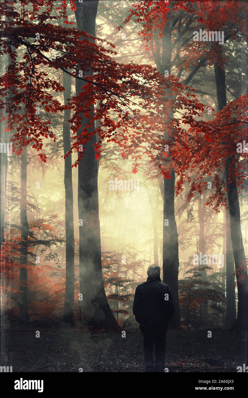 Mysterious man rear view hi-res stock photography and images - Alamy