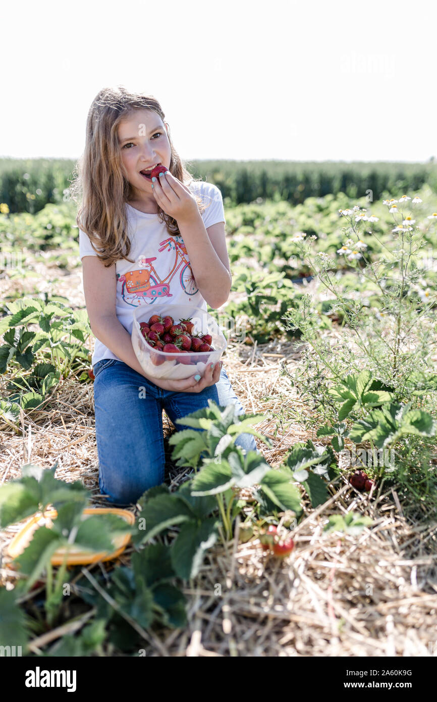 A girl eating strawberry hi-res stock photography and images - Alamy