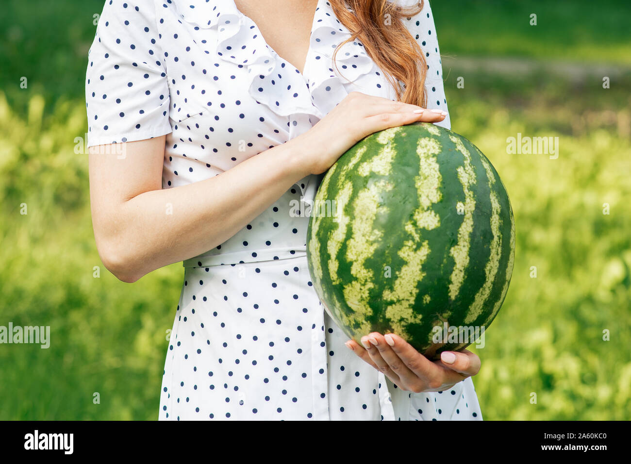 Close up of woman's hands holds a whole watermelon outdoors. Hands of ...