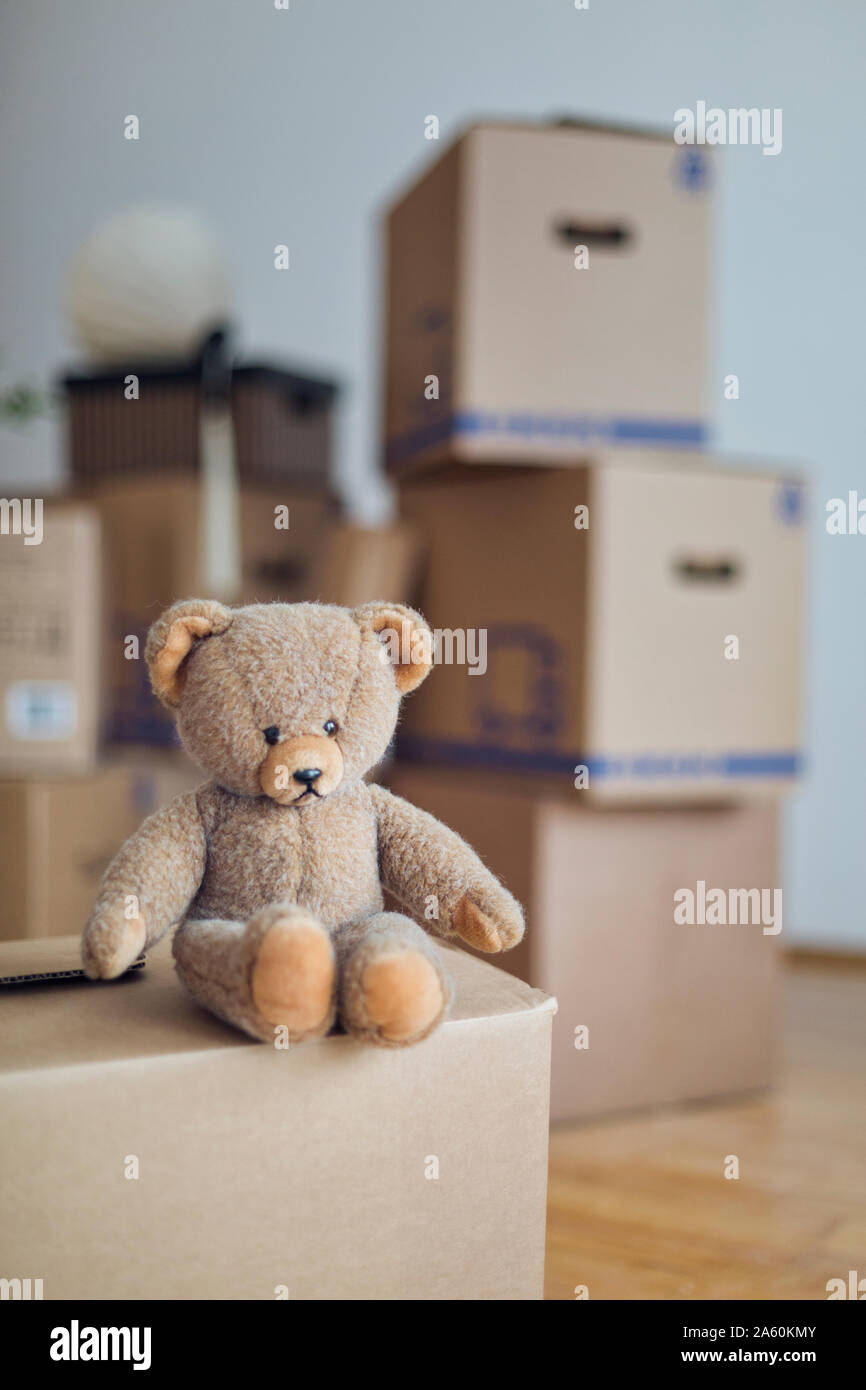 Teddy bear on cardboard box in an empty room in a new home Stock Photo ...