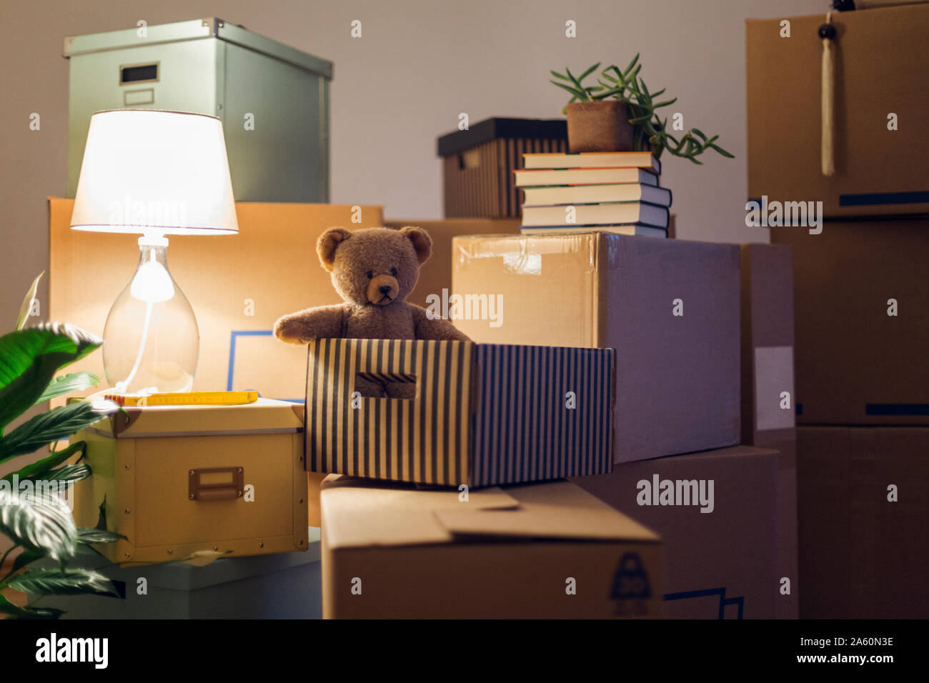 Teddy bear inside cardboard box in an empty room in a new home Stock ...