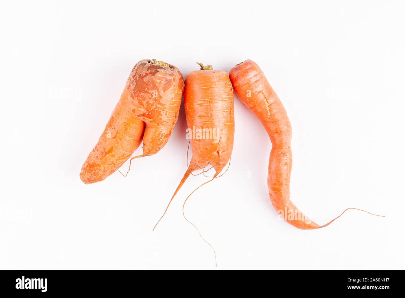 Funny ugly vegetables carrots, concept of zero waste production in food ...