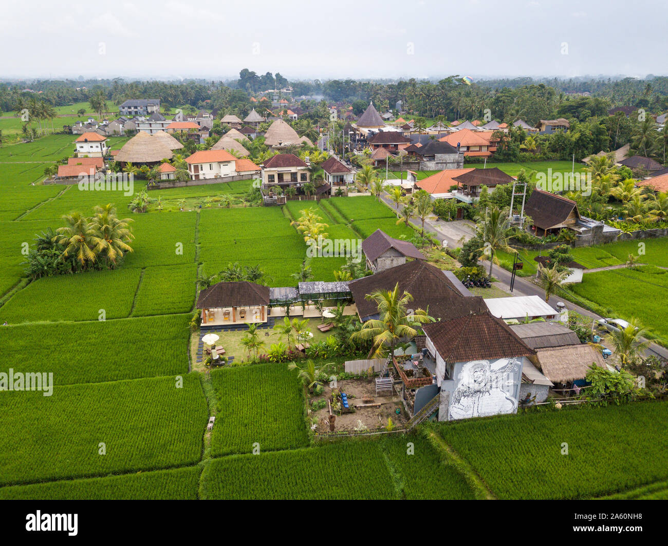 Aerial view of Ubud countryside in Bali Stock Photo - Alamy