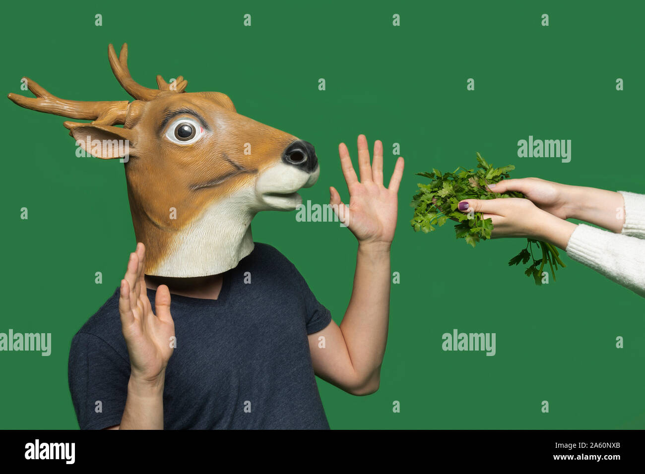 Animal mask deer hi-res stock photography and images - Alamy