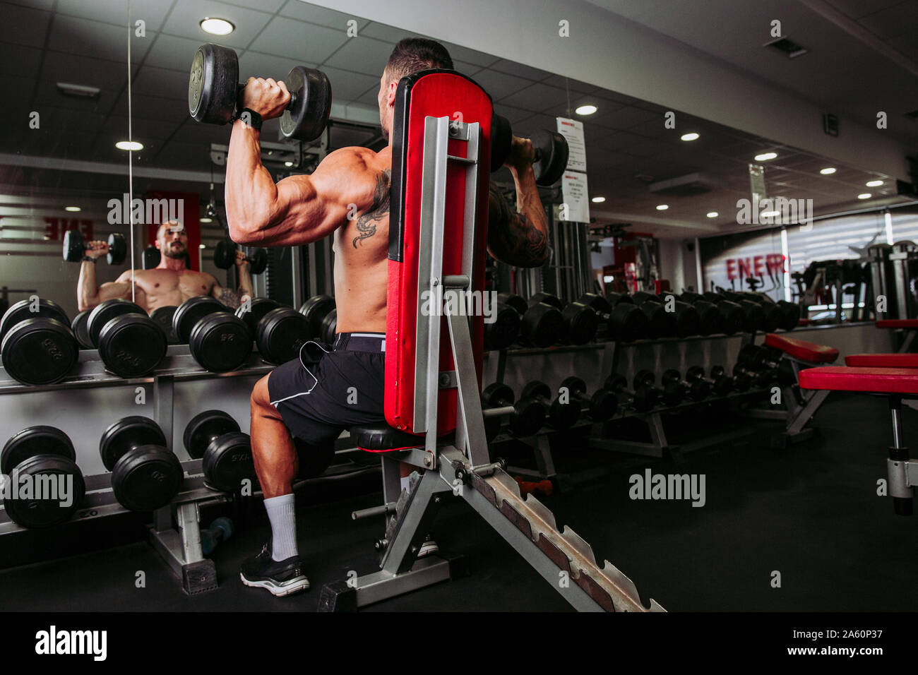 Muscular man training in gym Stock Photo - Alamy