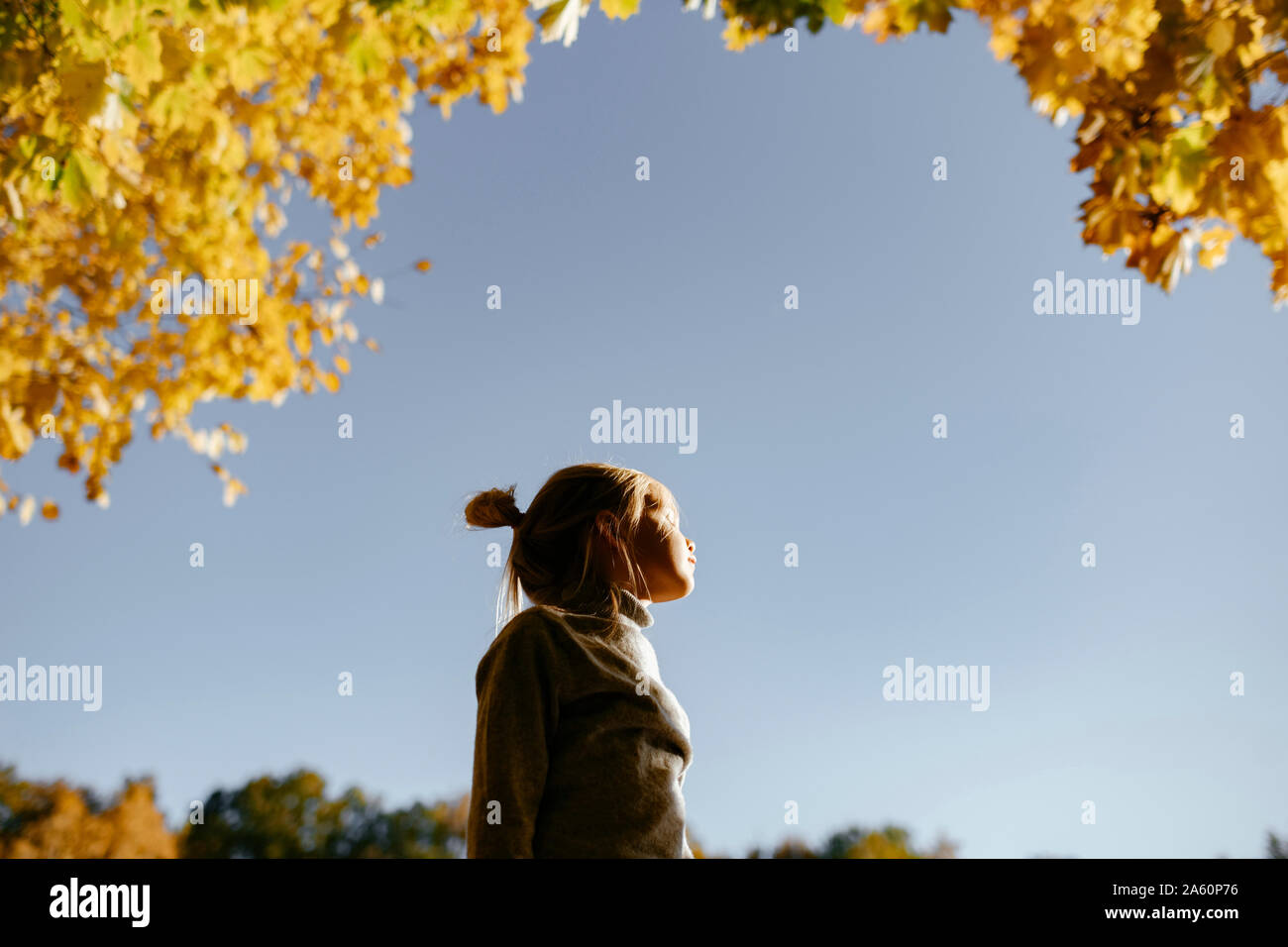 Little girl enjoying sunlight in autumn Stock Photo - Alamy