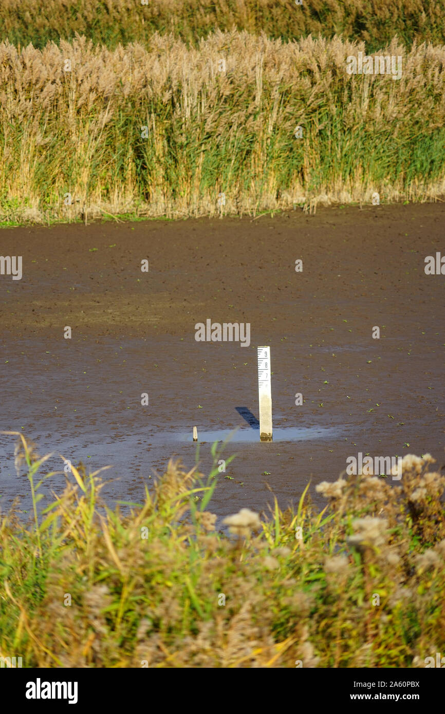Fowlmere nature reserve hi-res stock photography and images - Alamy