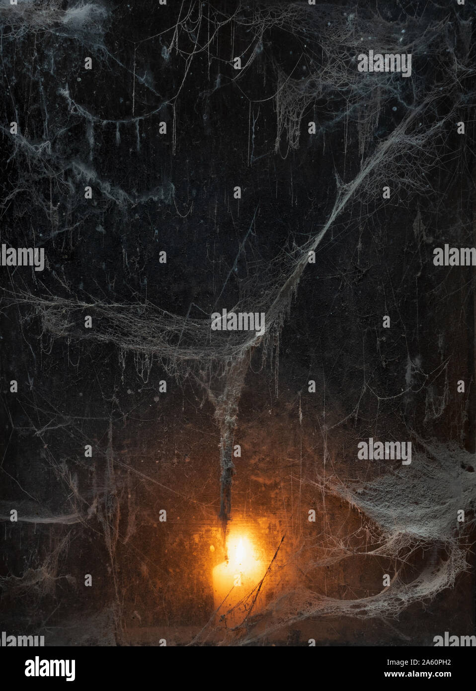 Scary spider web in the dark. Background for Halloween party Stock ...