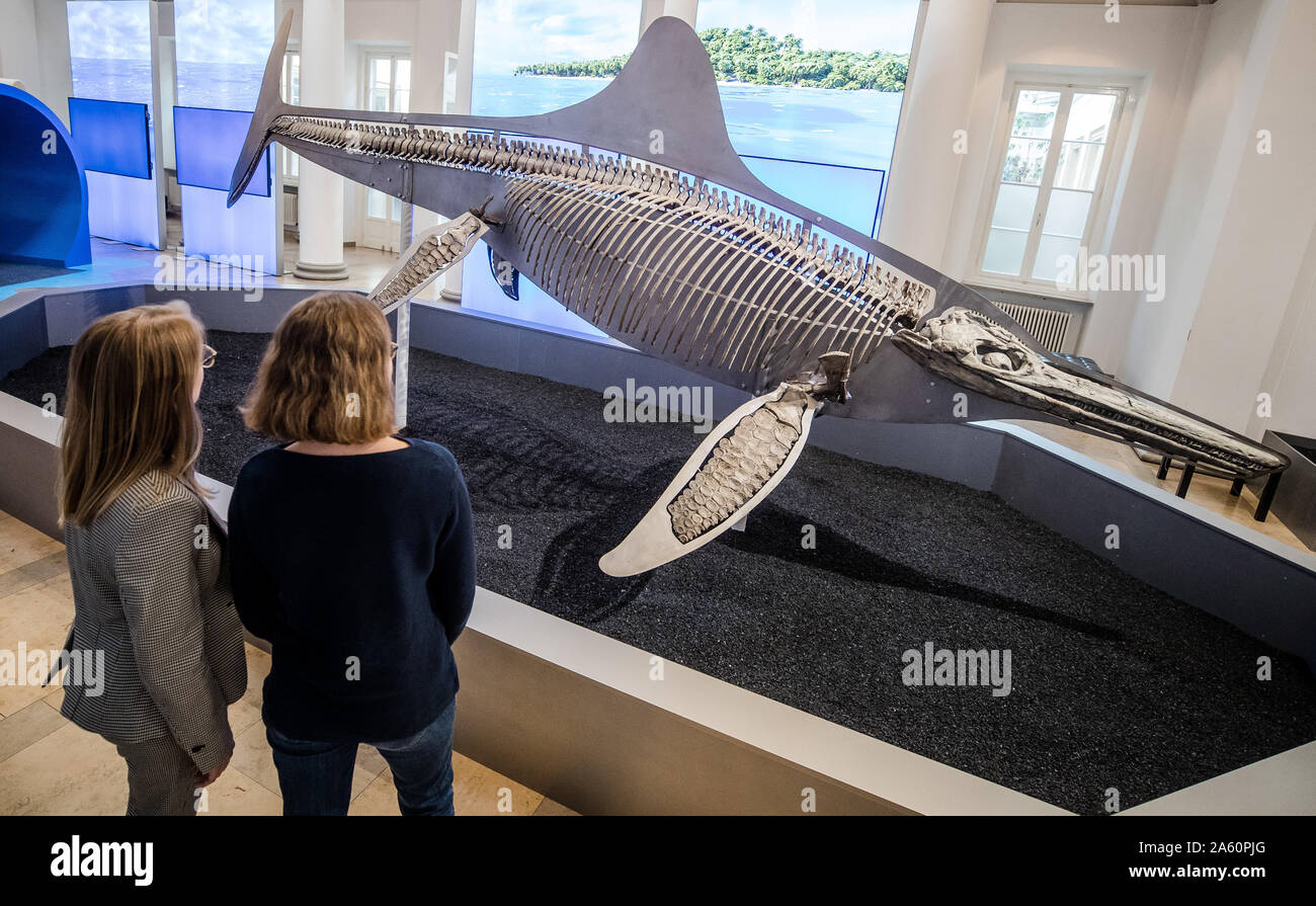 Stuttgart, Germany. 23rd Oct, 2019. Visitors to the Natural History ...