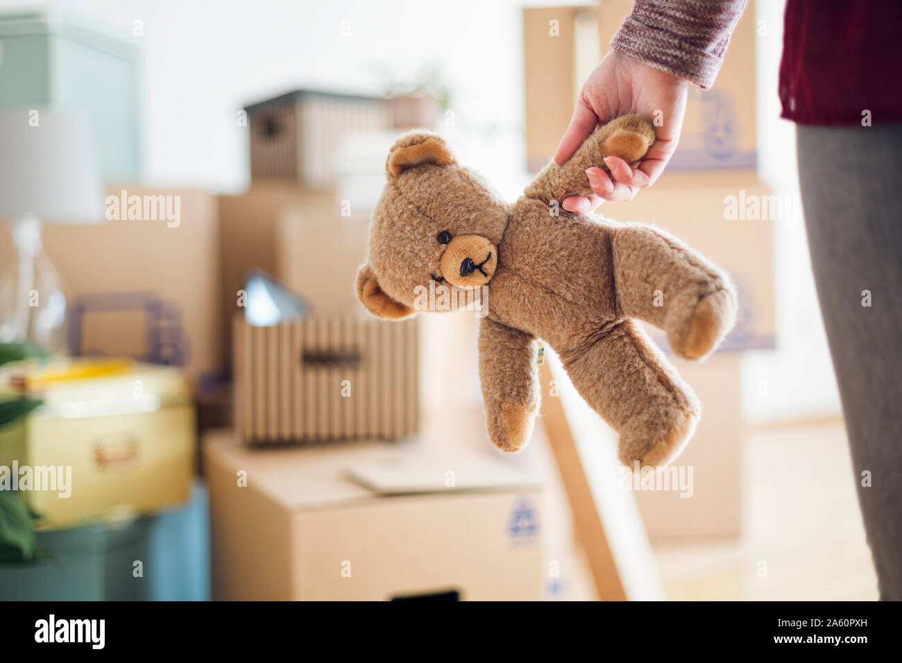 Hand holding teddy hi-res stock photography and images - Alamy