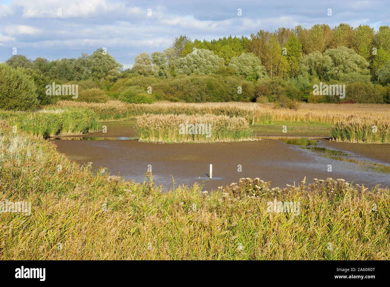 Fowlmere nature reserve hi-res stock photography and images - Alamy