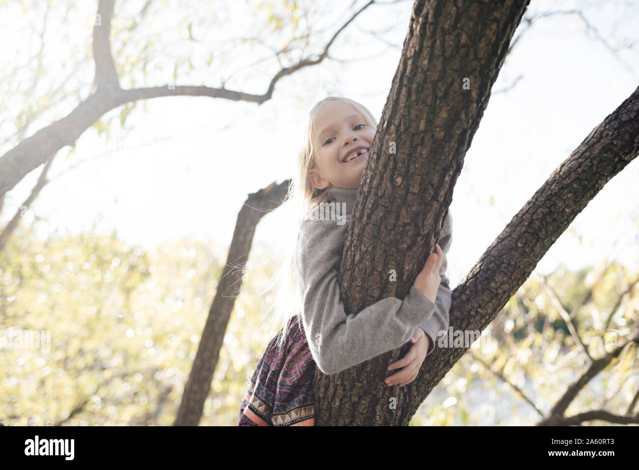Climbing tree child girl hi-res stock photography and images - Alamy