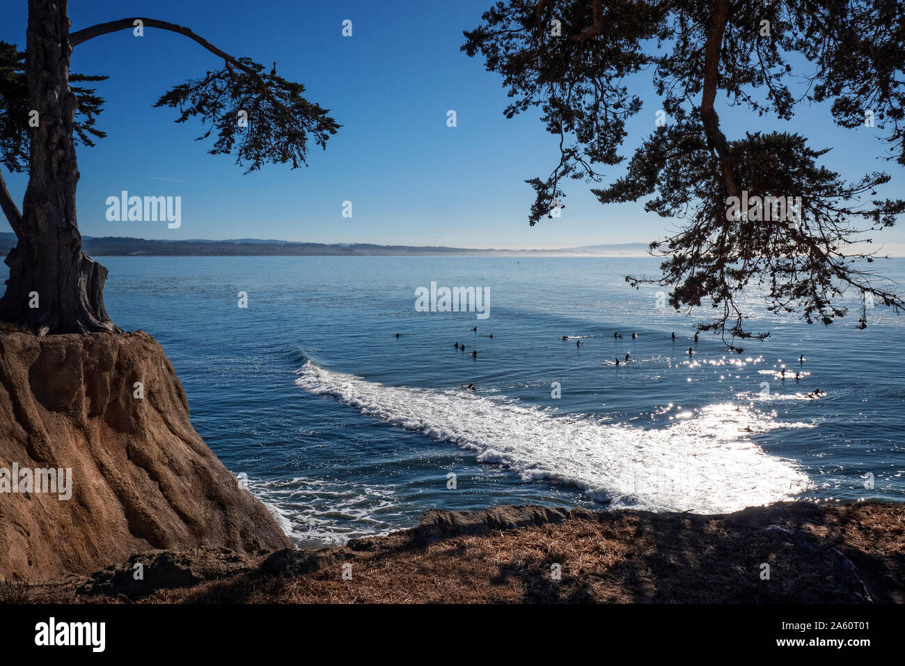 East cliff santa cruz hi-res stock photography and images - Alamy