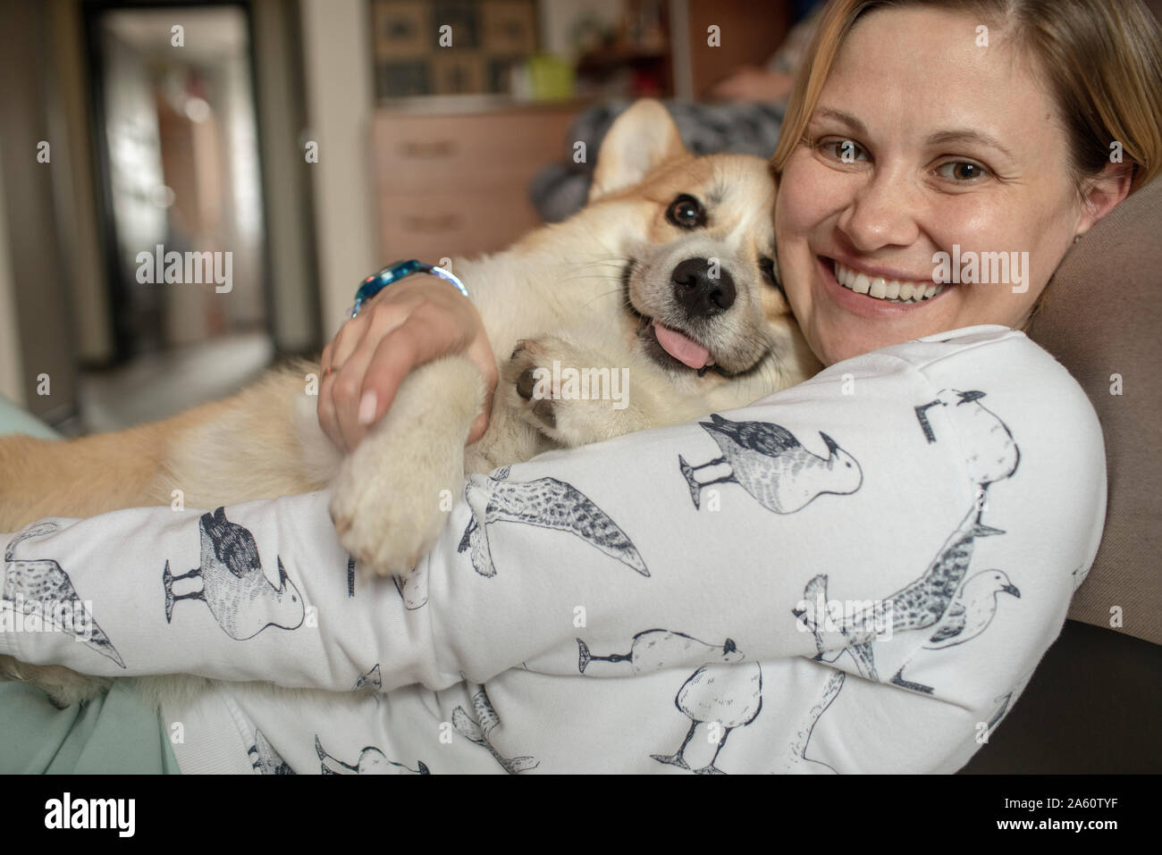 Dog laughing indoors hi-res stock photography and images - Alamy