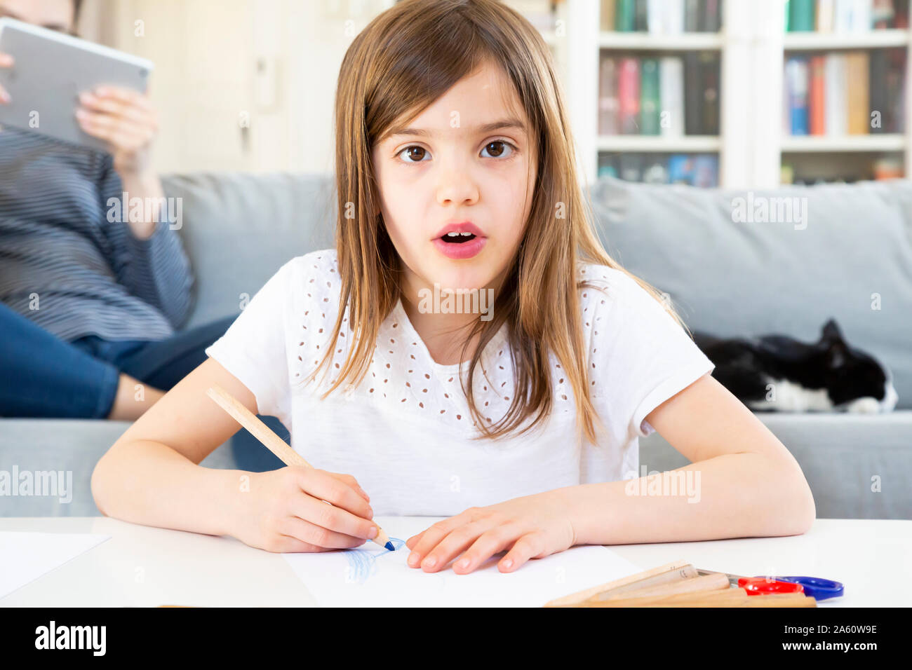 Cat drawing color pencil hi-res stock photography and images - Alamy