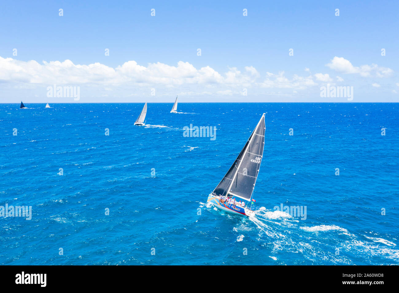 Aerial view by drone of sailing boats during a regatta, Antigua ...