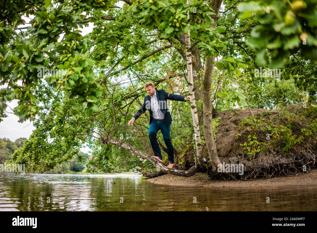 Tree over lake hi-res stock photography and images - Alamy