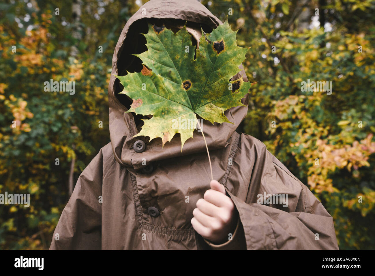 Leaf hiding hi-res stock photography and images - Alamy