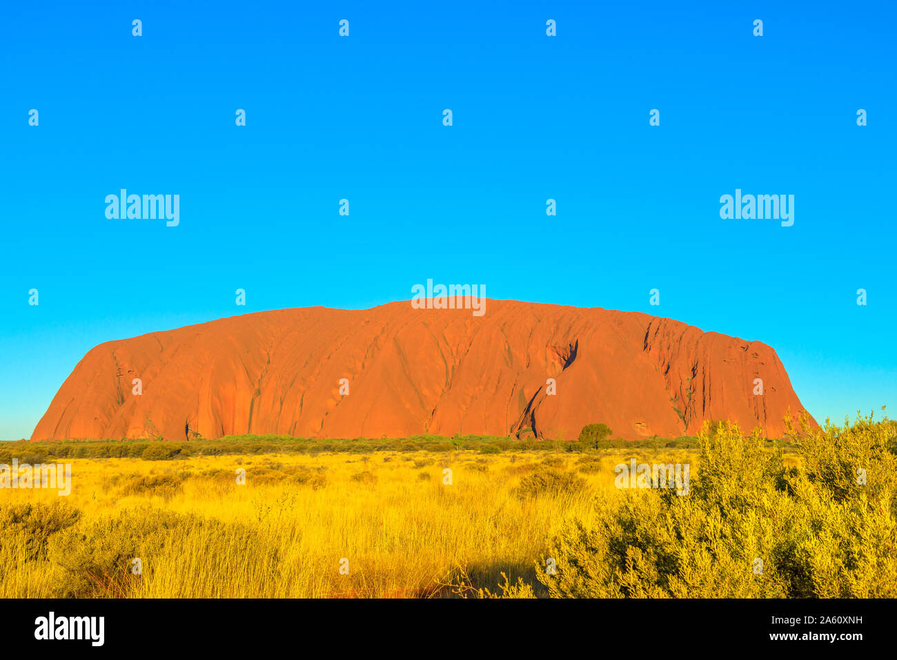 Uluru (Ayers Rock) in dry season, the huge sandstone monolith in Uluru ...