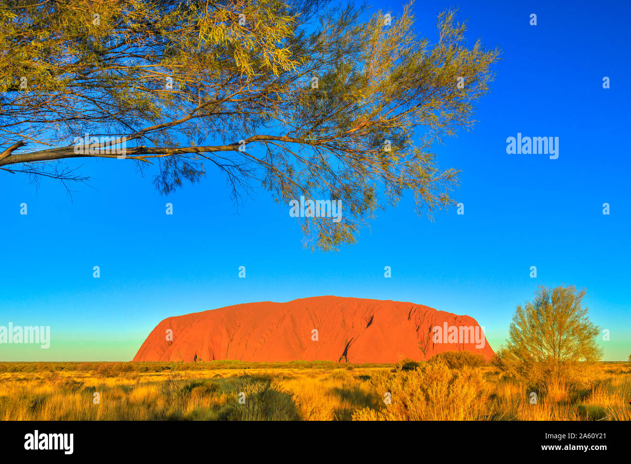 The bush vegetation in winter (dry season) frames the sandstone ...