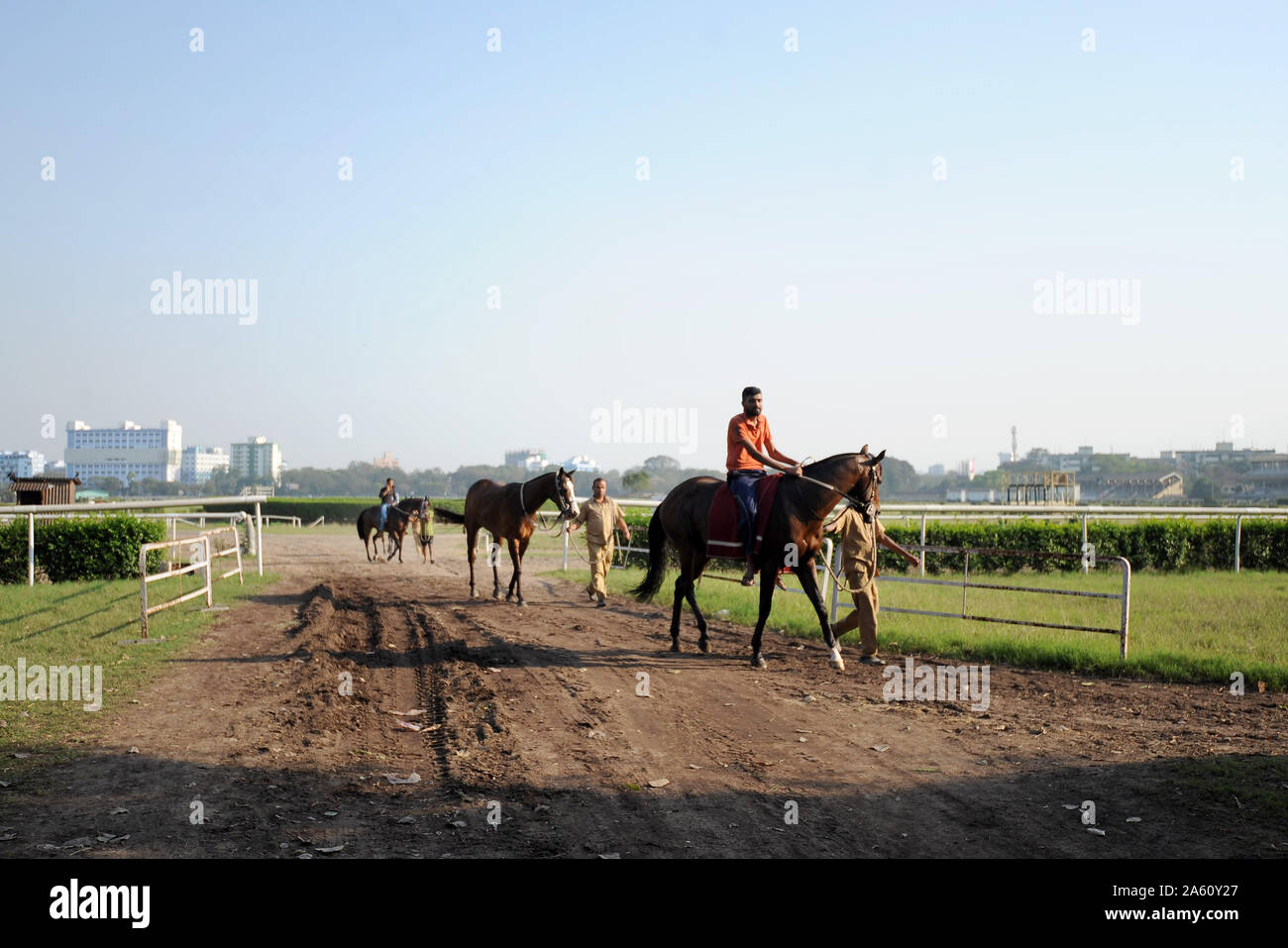 Race horses being exercised at the famous Royal Calcutta Turf Club ...