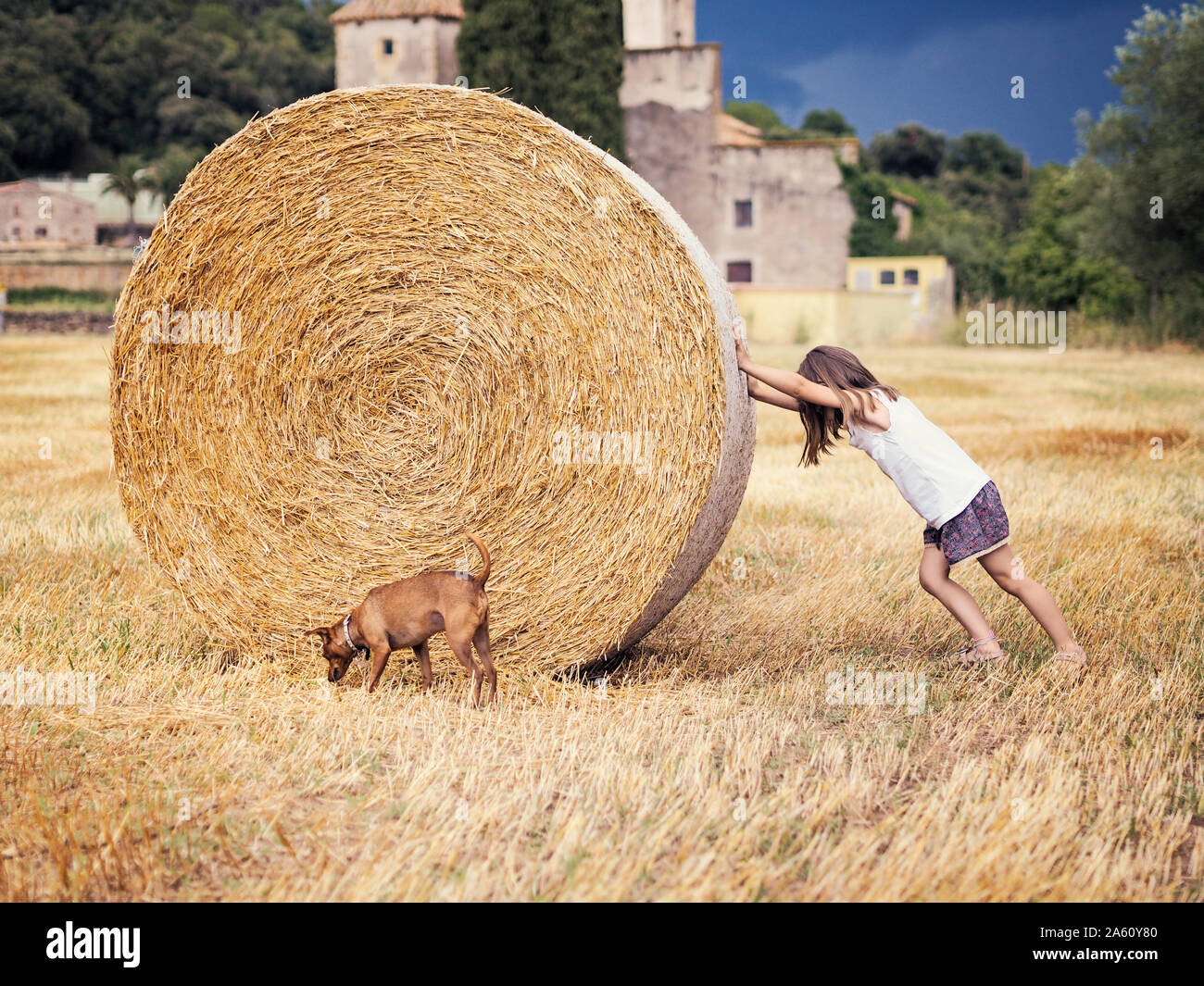 Little girl rolling hay bale Stock Photo - Alamy