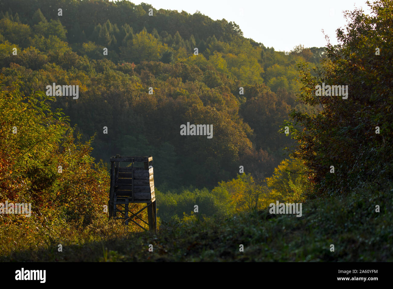 High stand hi-res stock photography and images - Alamy