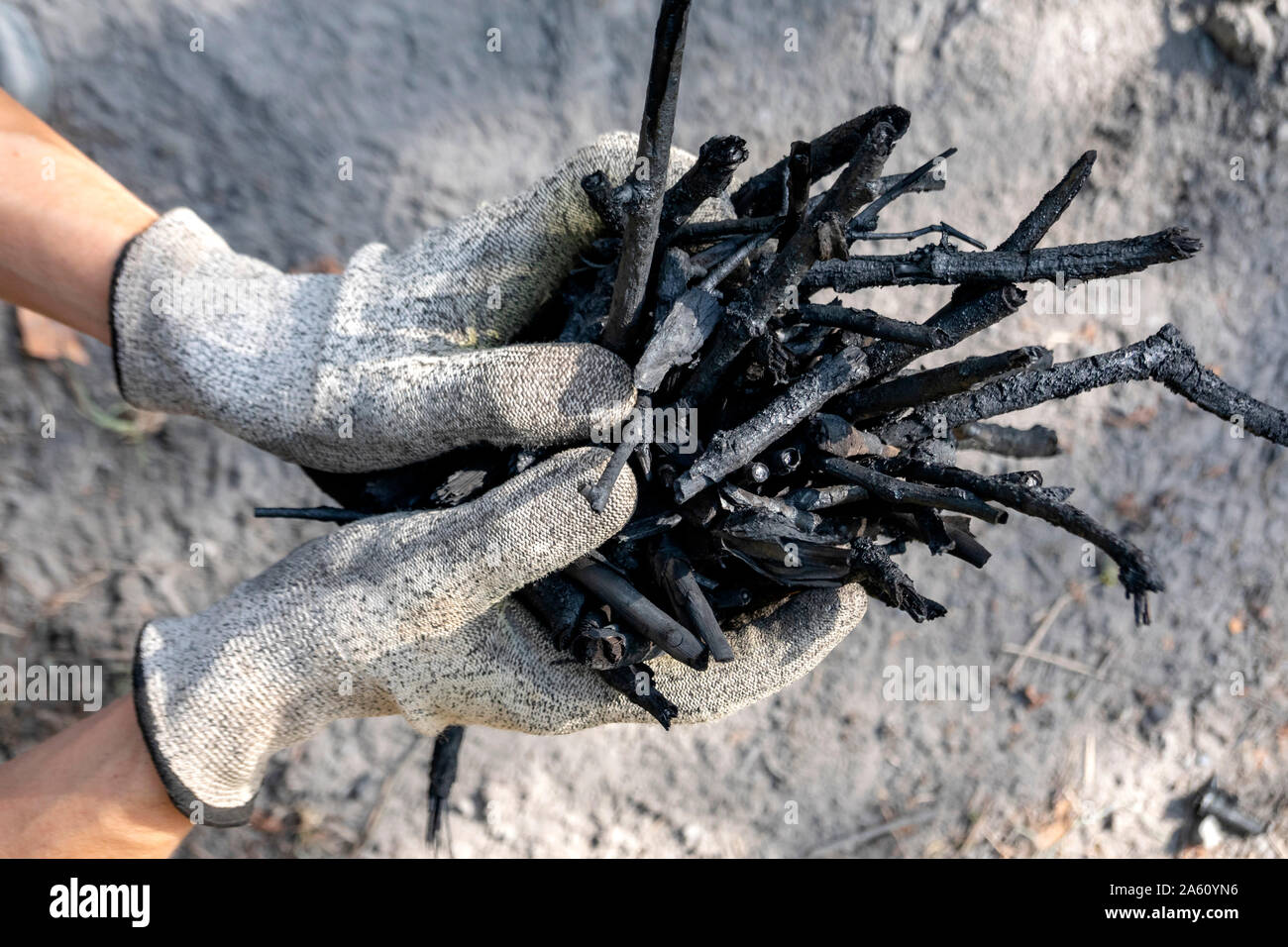 Hands holding self made charcoal outdoors Stock Photo - Alamy