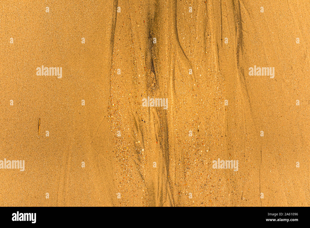 Close-up of sand with tidal ways and shells on the beach Stock Photo ...