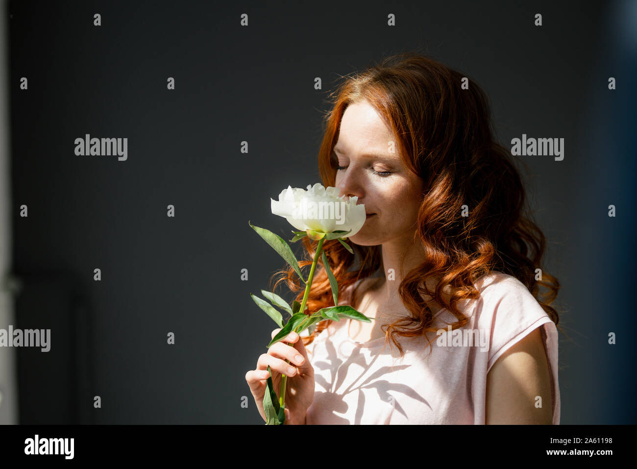 Closed peony hi-res stock photography and images - Alamy