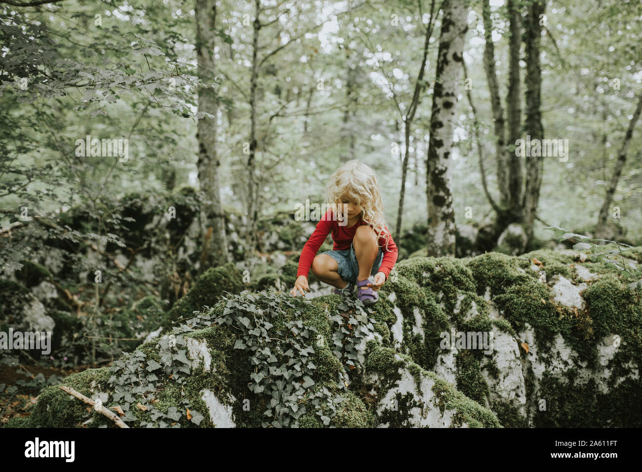 Rock person in the forest hi-res stock photography and images - Alamy