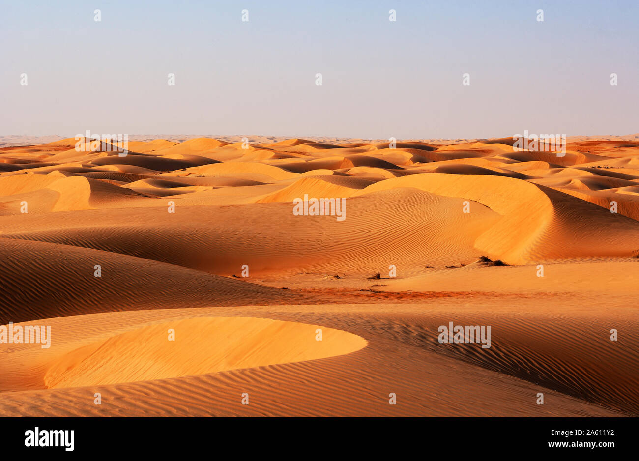 Sultanate Of Oman, Wahiba Sands, dunes in the desert Stock Photo - Alamy