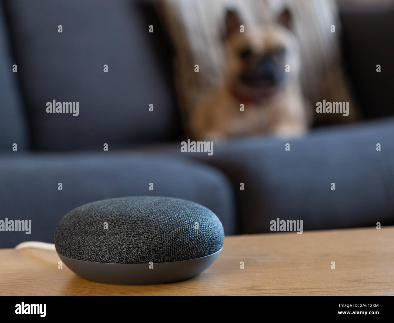 smart home voice activated speaker with pet in living room lounge Stock ...