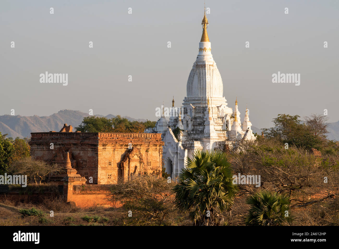 Myanmar burma palm trees in hi-res stock photography and images - Alamy