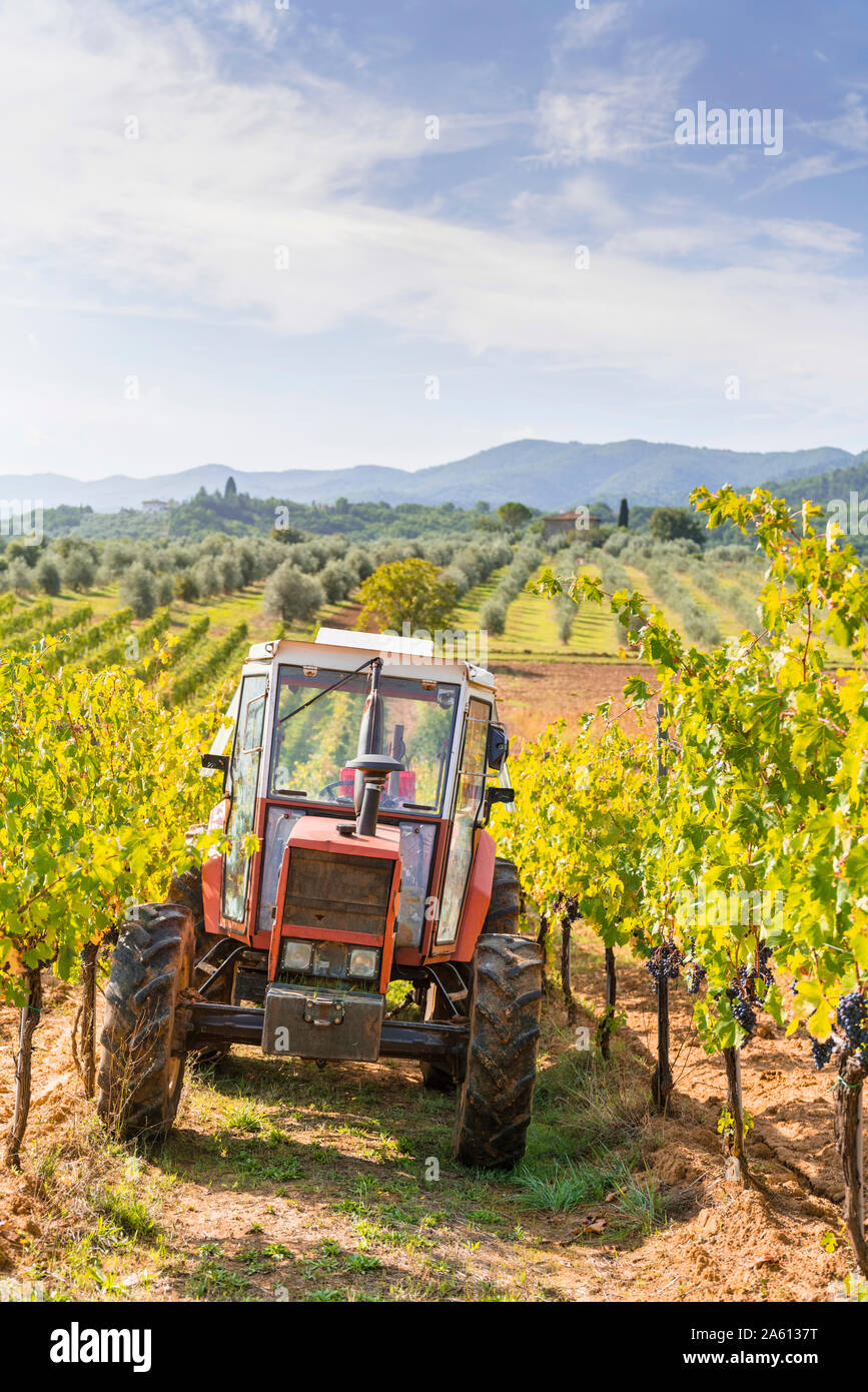 Vine tractor italy hi-res stock photography and images - Alamy
