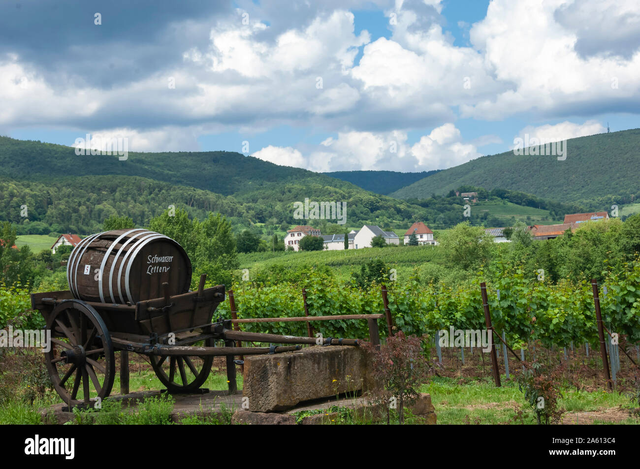 Rhineland palatinate wine hi-res stock photography and images - Alamy
