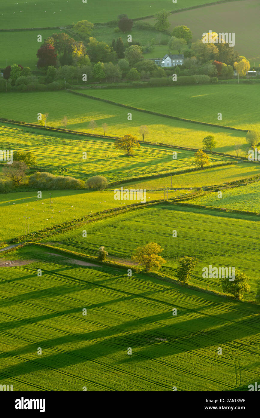 Lush rolling farmland in spring in the Brecon Beacons National Park ...
