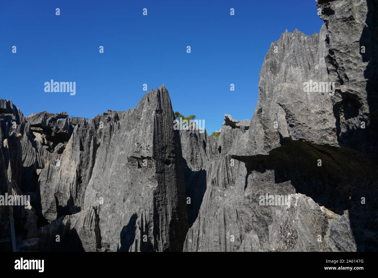 Small Tsingy, Tsingy de Bemaraha National Park, UNESCO World Heritage ...