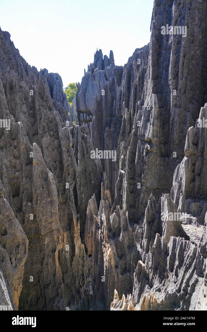 Tsingy de Bemaraha National Park, UNESCO World Heritage Site, Melaky ...
