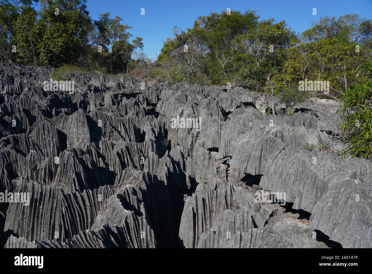 Small Tsingy, Tsingy de Bemaraha National Park, UNESCO World Heritage ...