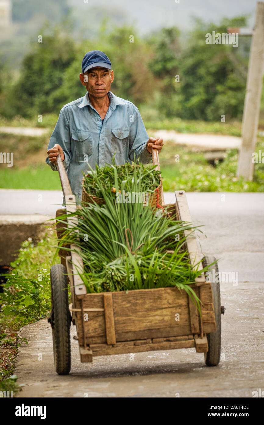 Vietnam food cart hi-res stock photography and images - Alamy