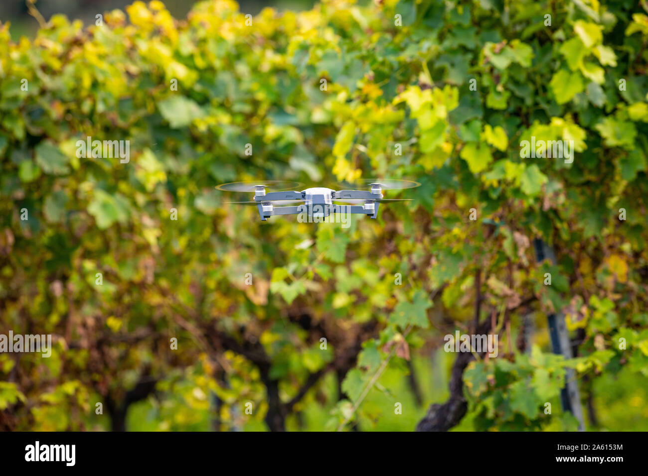 Vineyard helicopter hi-res stock photography and images - Alamy