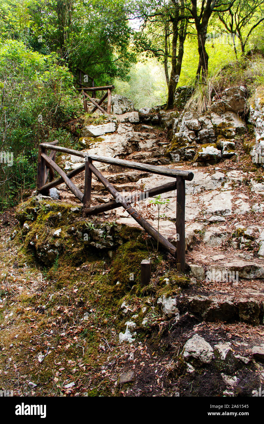 Stone stairs in the natural reserve of Morigerati, Campania, ITaly ...