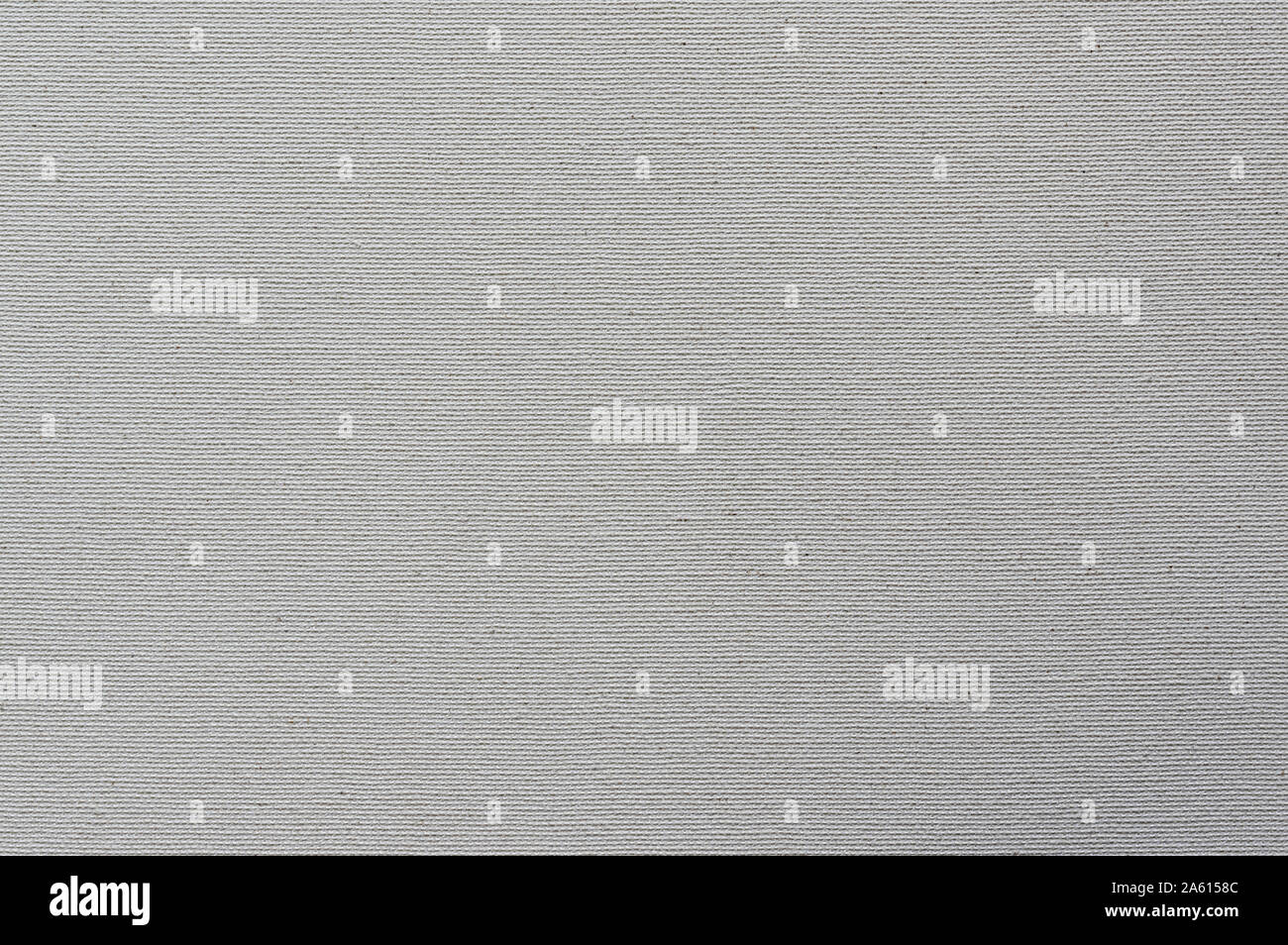 Blank Canvas Texture