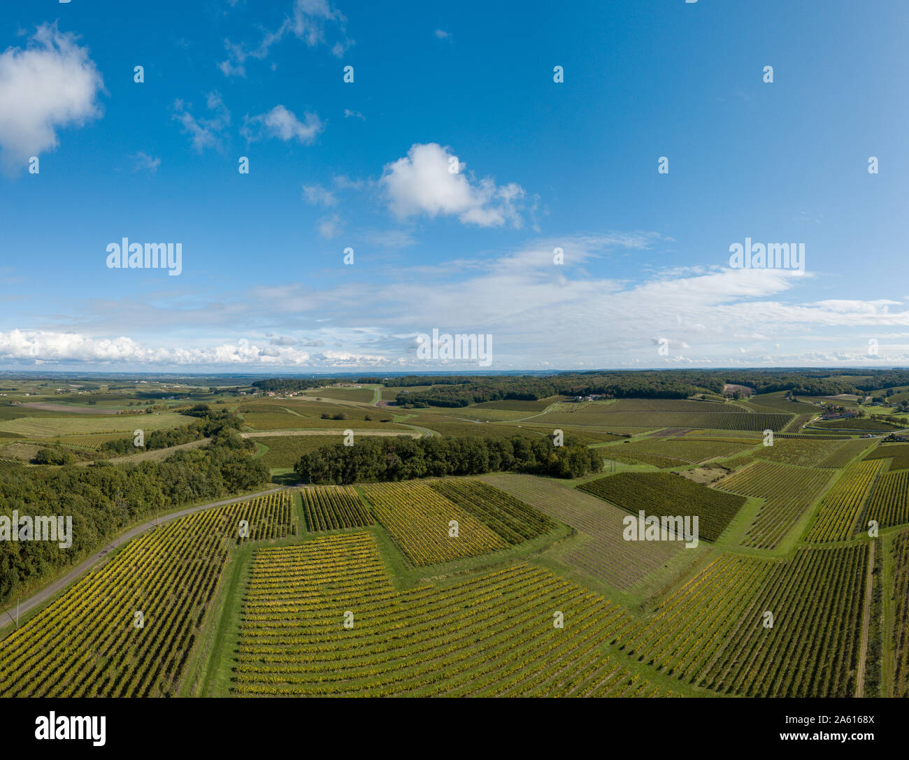 Cognac france countryside hi-res stock photography and images - Alamy