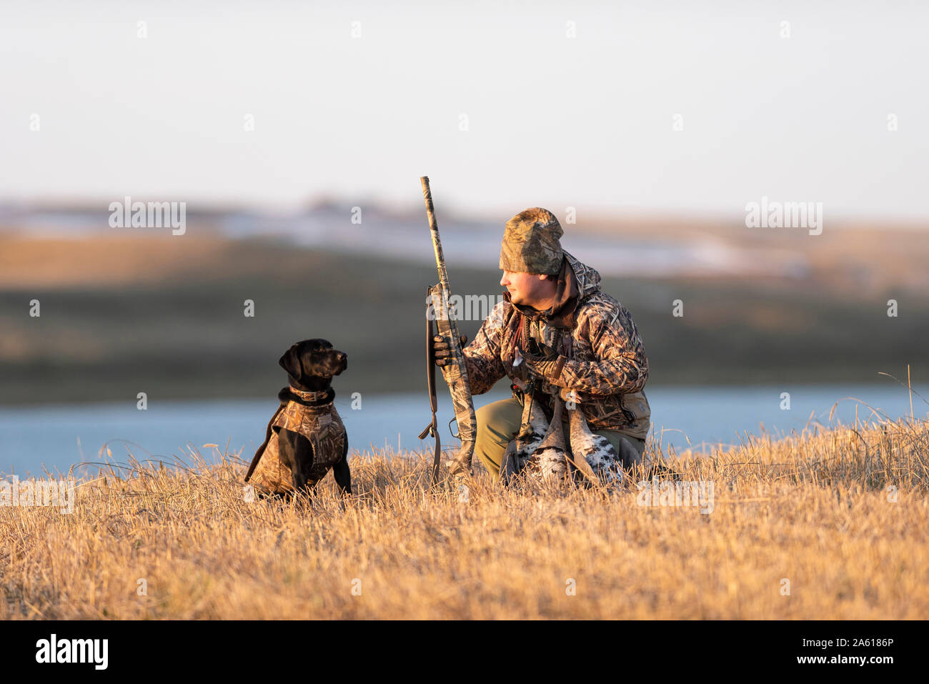 A Young Goose hunter with his Black Labrador Retriever Stock Photo - Alamy