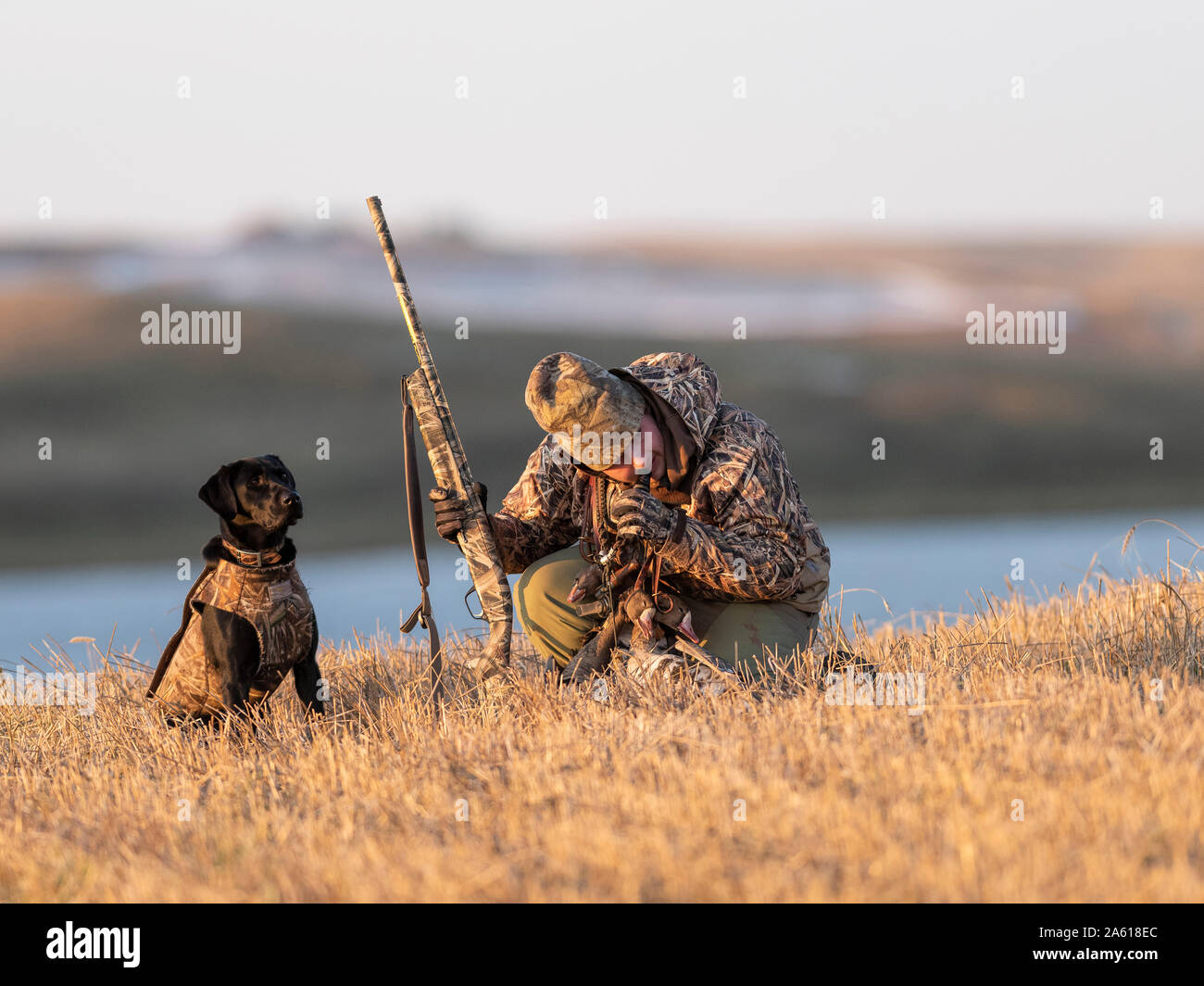 A Young Goose hunter with his Black Labrador Retriever Stock Photo - Alamy